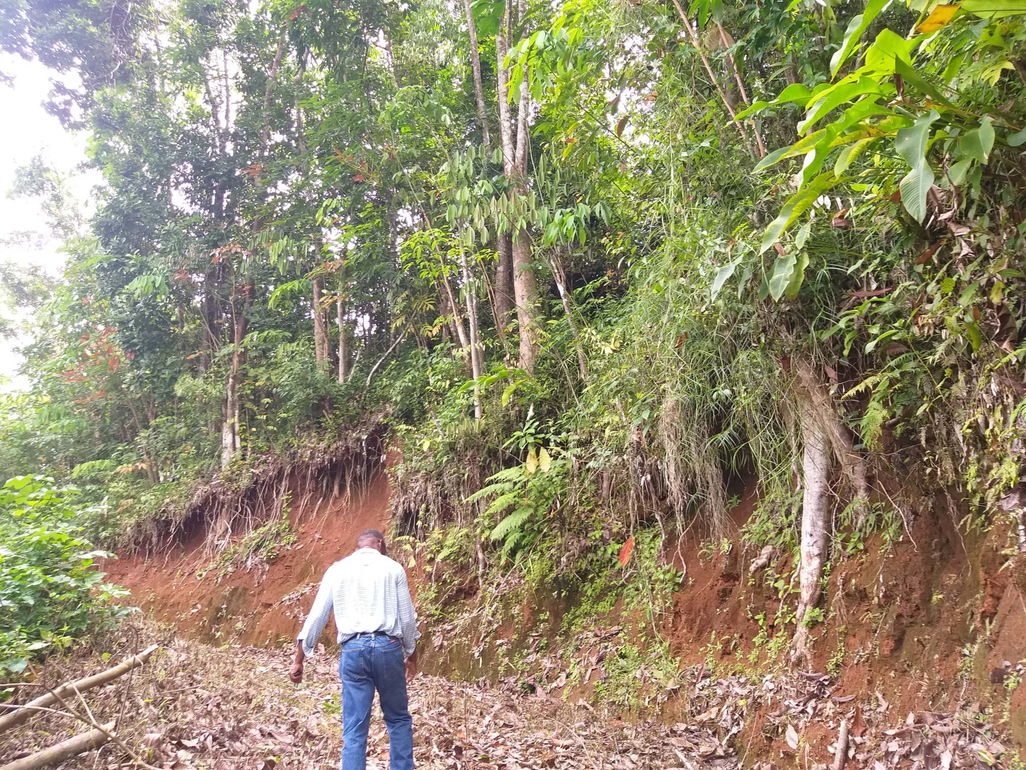 GOVERNMENT OF GRENADA – Climate Smart Agriculture & Rural Enterprise ...